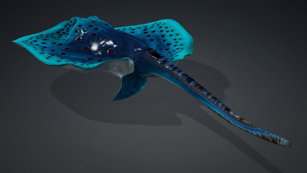 Raya Con Manchas Modelo 3D - Descargar Pescados on 3DModels.org