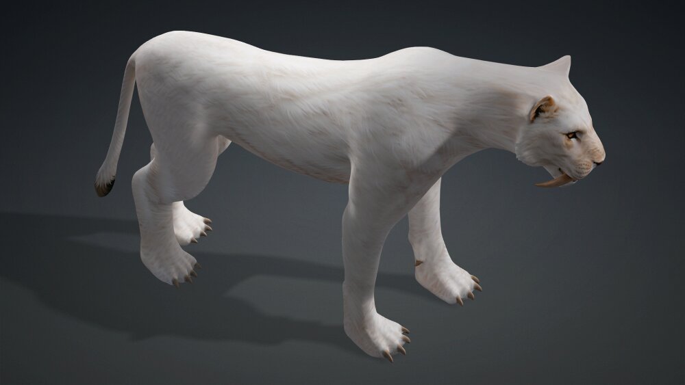 Lion B2 3D model - Download Mammals on 3DModels.org