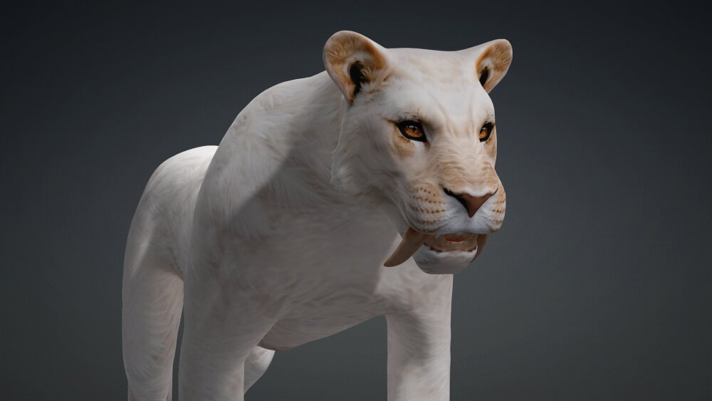 Lion B2 3D model - Download Mammals on 3DModels.org