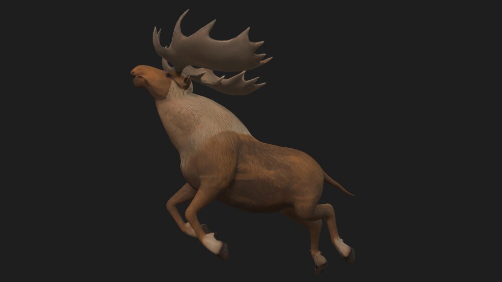 Moose B2 3D model - Download Mammals on 3DModels.org