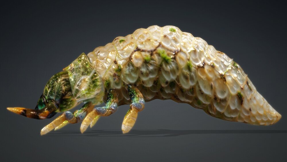 Larval V1d 3D model - Download Insects on 3DModels.org