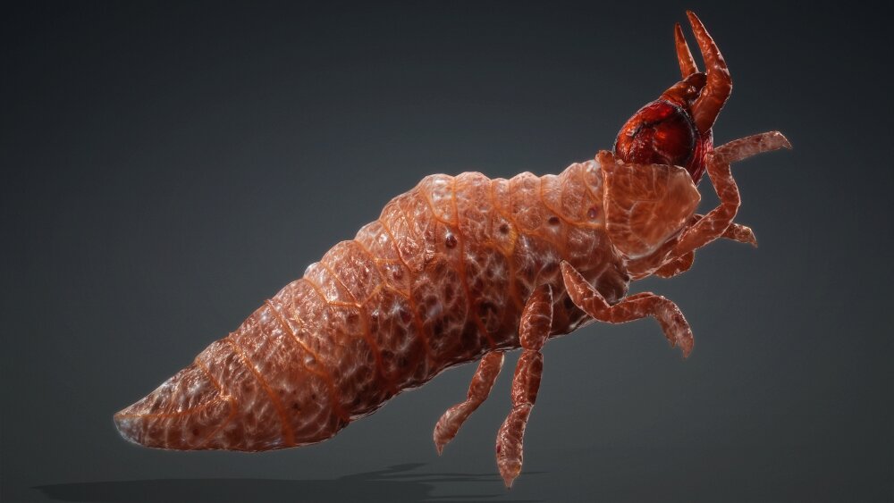 Criatura Larval Modelo 3D - Descargar Insectos activado 3DModels.org