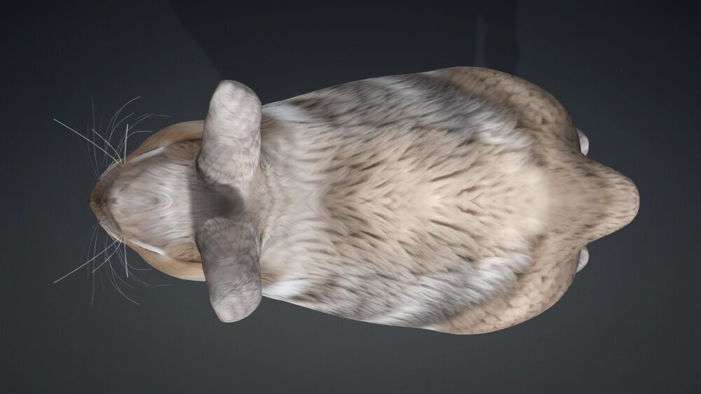 Rabbit A3 3D-malli - Lataa Nisäkkäät päällä 3DModels.org