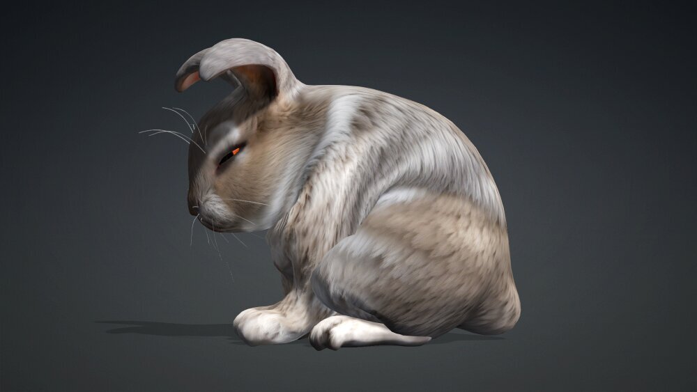 Lapin A3 Modèle 3D - Télécharger Mammifères activé 3DModels.org