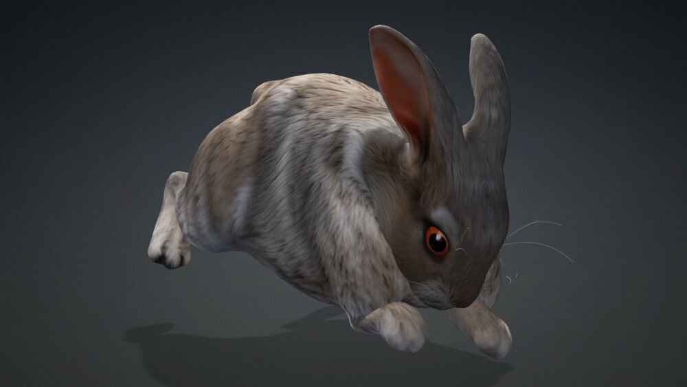 Rabbit A3 3D model - Download Mammals on 3DModels.org