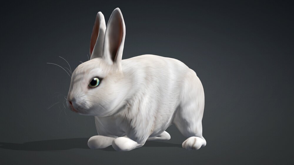 Lapin Blanc Modèle 3D - Télécharger Mammifères on 3DModels.org