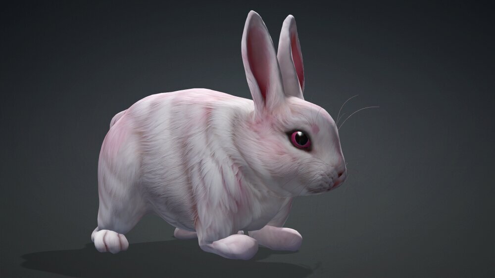 Rabbit A1 3D model - Download Mammals on 3DModels.org