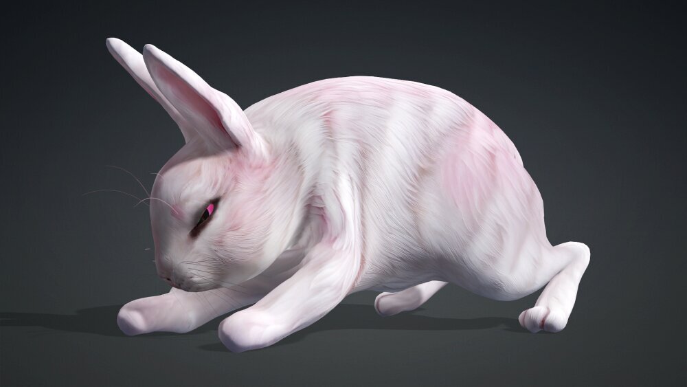 Rabbit A1 3D model - Download Mammals on 3DModels.org