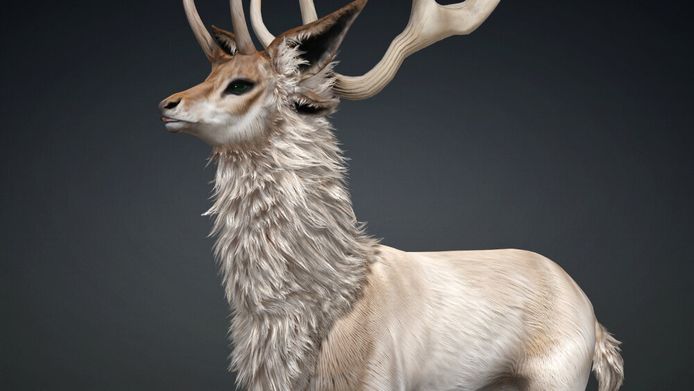 Deer B1 3D model - Download Mammals on 3DModels.org