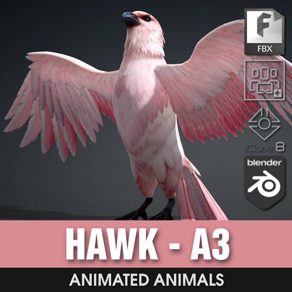 Hawk A3 3D model - Download Birds on 3DModels.org