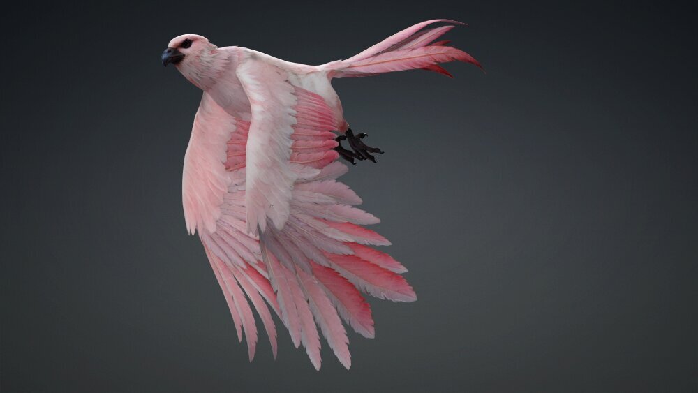 Hawk A3 3D model - Download Birds on 3DModels.org