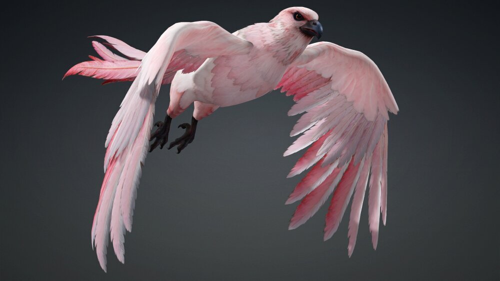 Hawk A3 3D model - Download Birds on 3DModels.org
