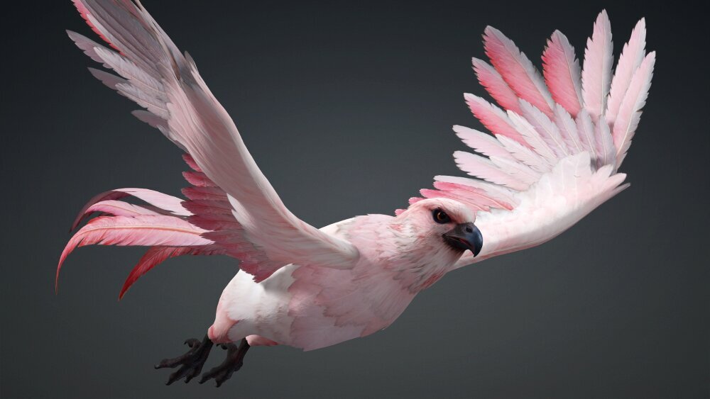 Hawk A3 3D model - Download Birds on 3DModels.org