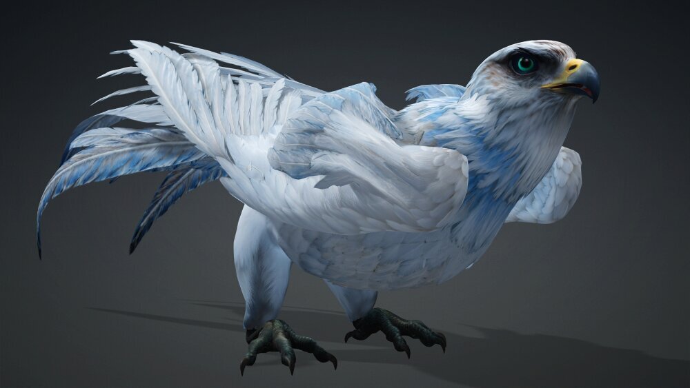 Hawk A4 3D model - Download Birds on 3DModels.org