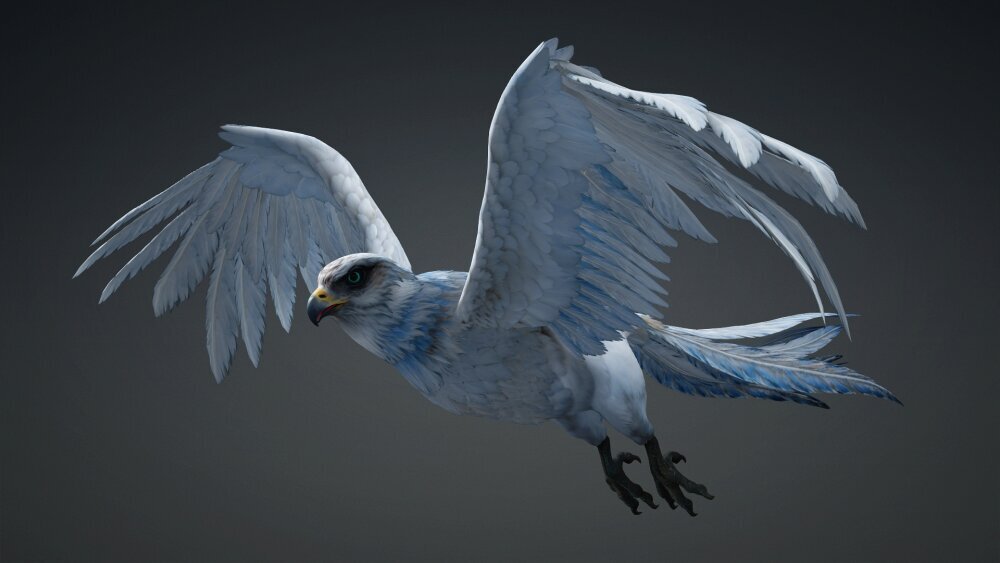 Hawk A4 3D model - Download Birds on 3DModels.org
