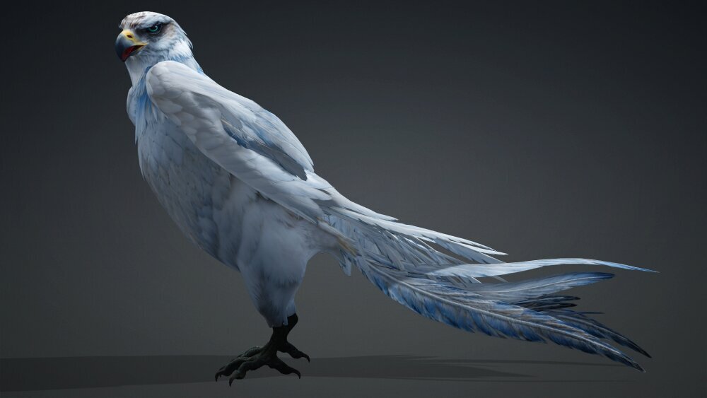 Hawk A4 3D model - Download Birds on 3DModels.org