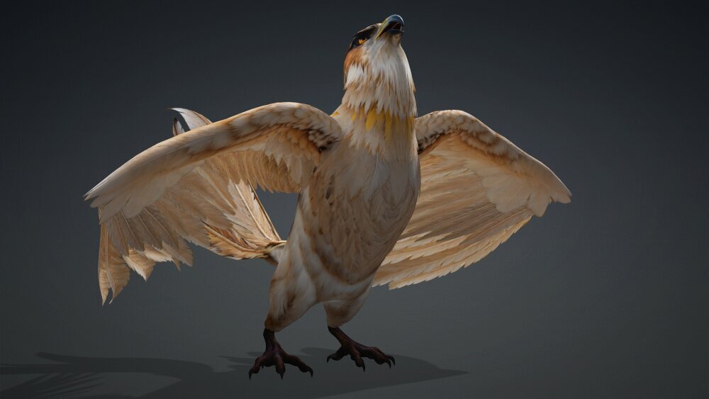 Hawk A5 3D model - Download Birds on 3DModels.org