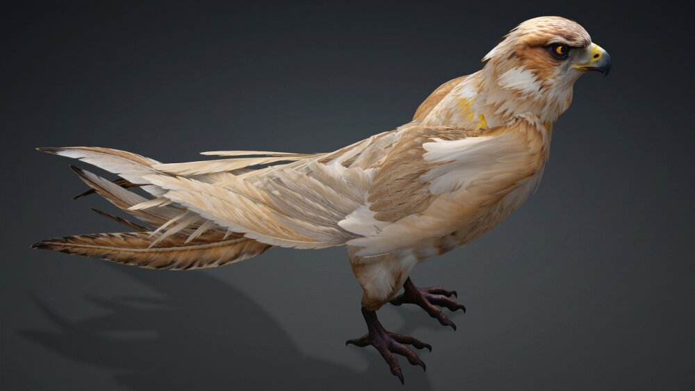 Hawk A5 3D model - Download Birds on 3DModels.org
