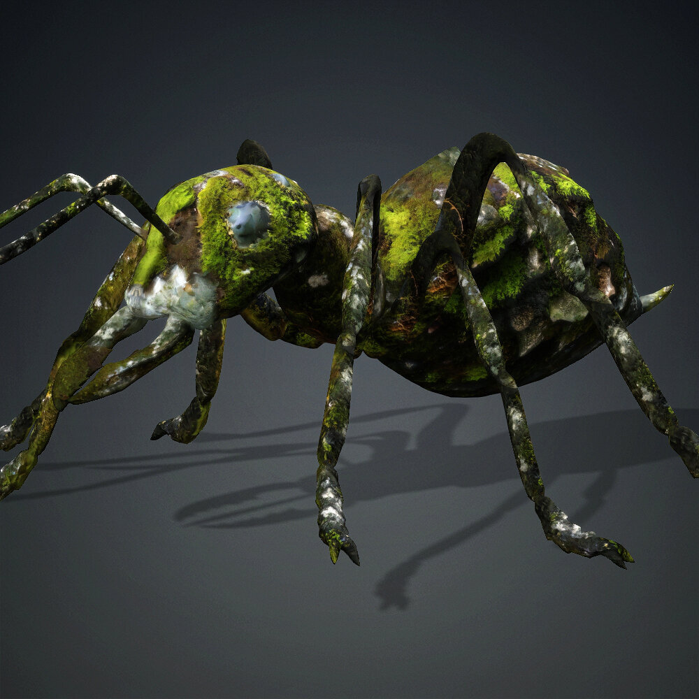 Ant V3b 3D model - Download Insects on 3DModels.org
