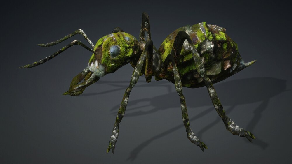 Ant V3b 3D model - Download Insects on 3DModels.org