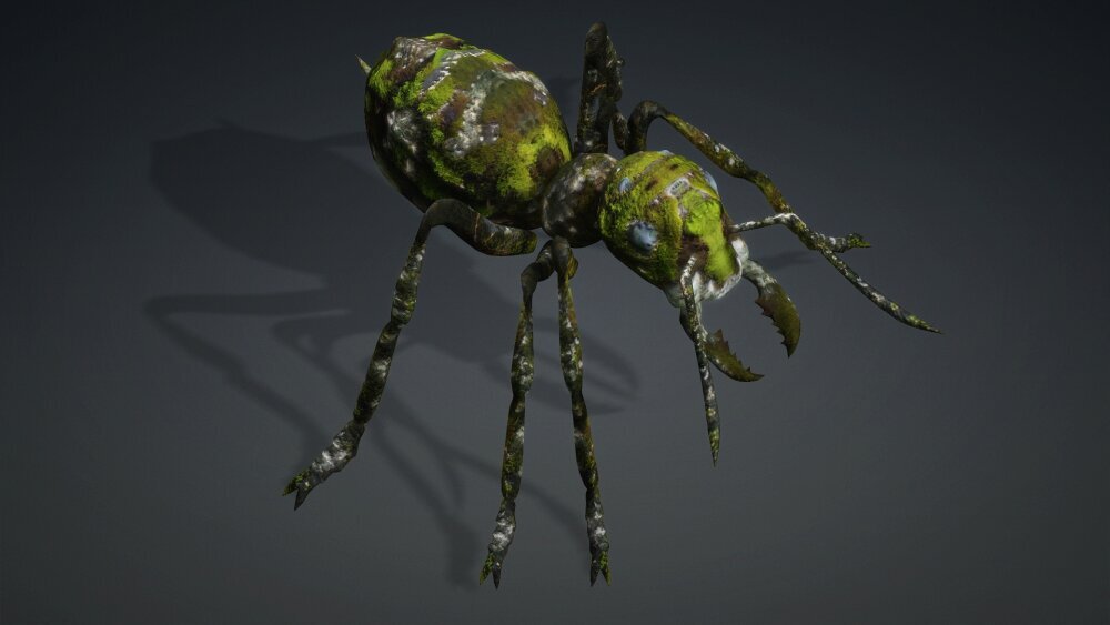 Ant V3b 3D model - Download Insects on 3DModels.org
