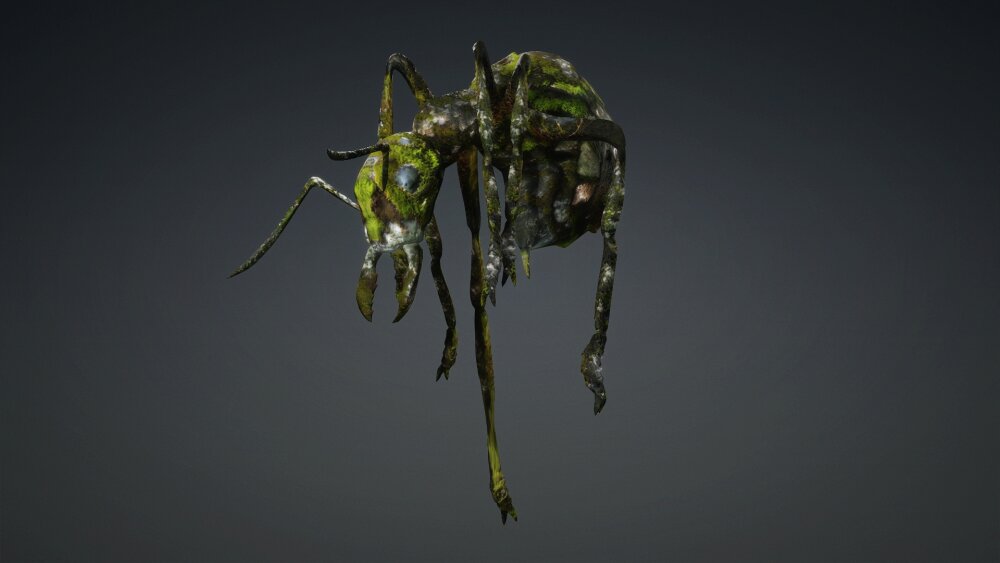 Ant V3b 3D model - Download Insects on 3DModels.org