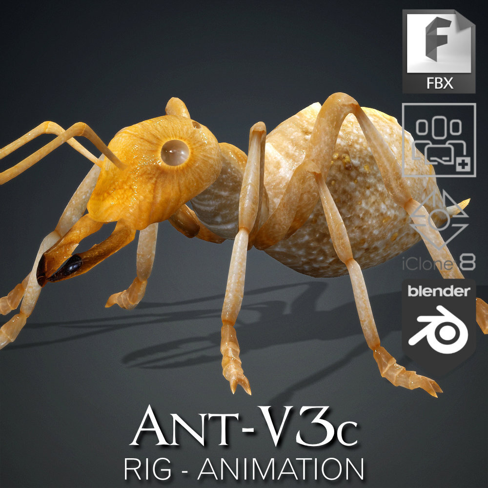 Ant V3c 3D model - Download Insects on 3DModels.org