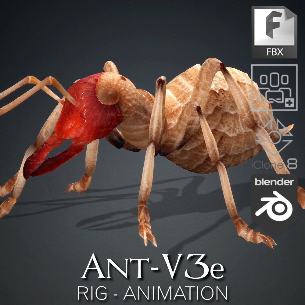 Ant V3e 3D model - Download Insects on 3DModels.org