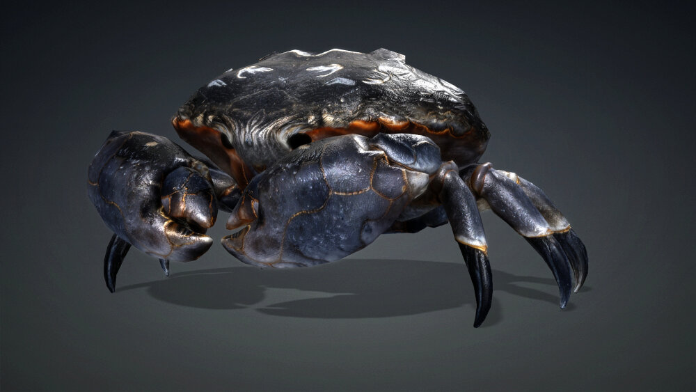 Crab Monster V1d 3D model - Download Arthropod on 3DModels.org
