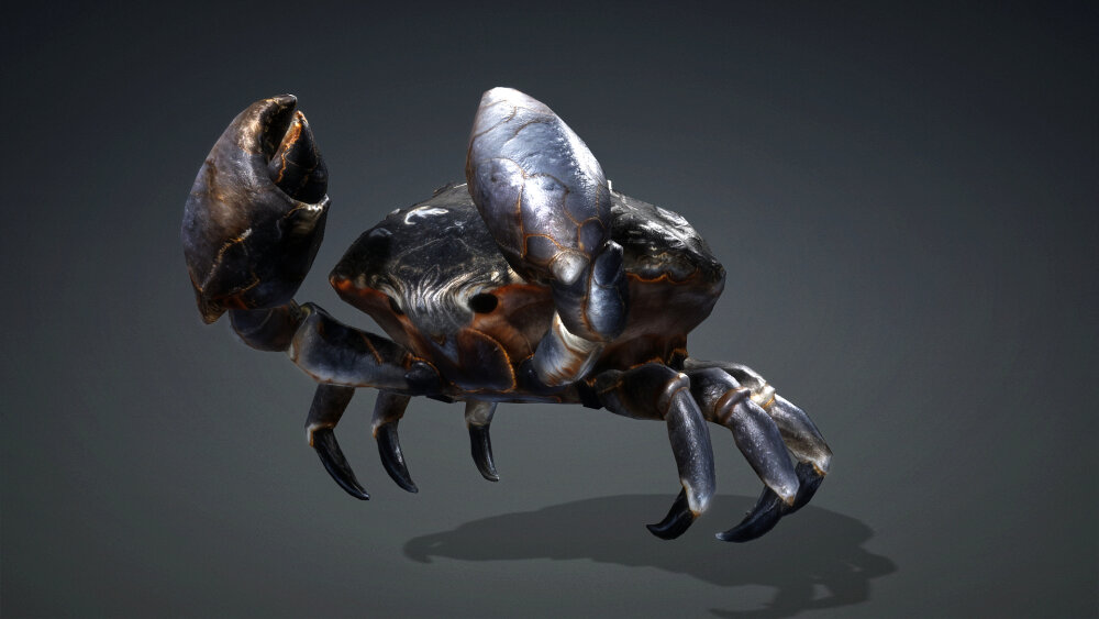Crab Monster V1d 3D model - Download Arthropod on 3DModels.org