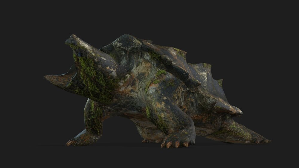 Alligator Turtle V1c 3D model - Download Reptile on 3DModels.org