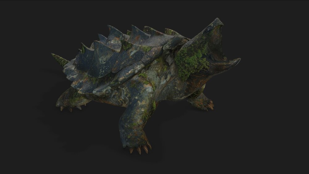 Alligator Turtle V1c 3D model - Download Reptile on 3DModels.org