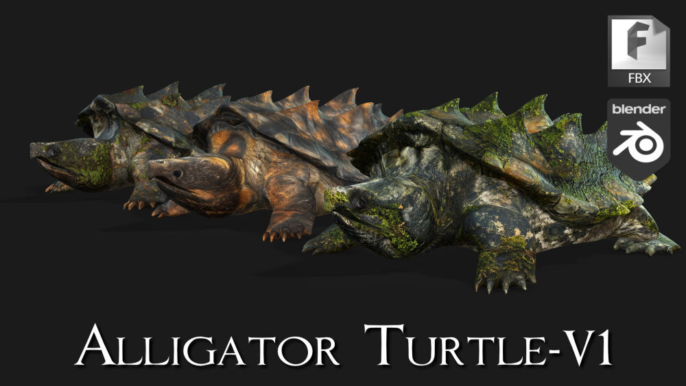 Alligator Turtle V1c 3D model - Download Reptile on 3DModels.org