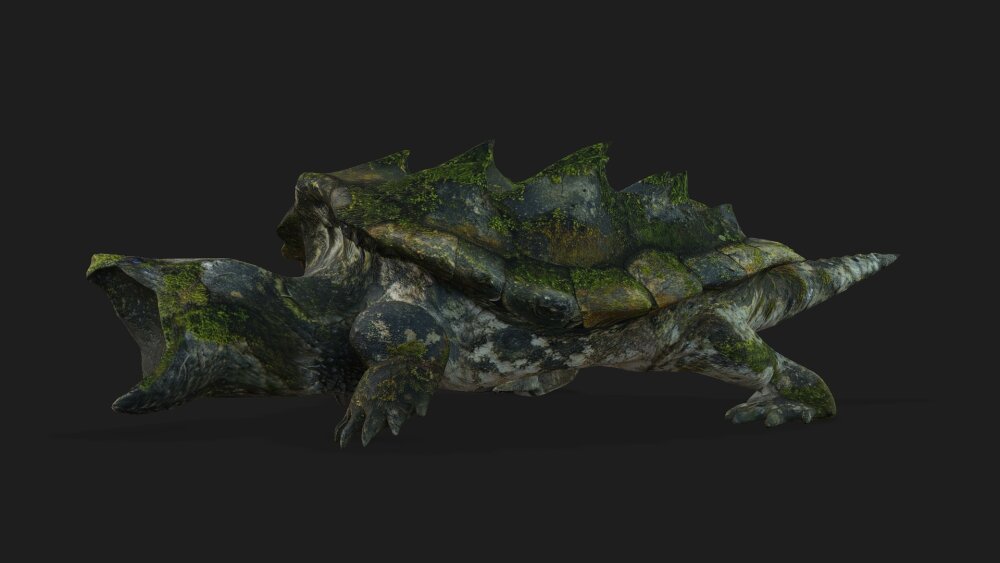 Alligator Turtle V1b 3D model - Download Reptile on 3DModels.org