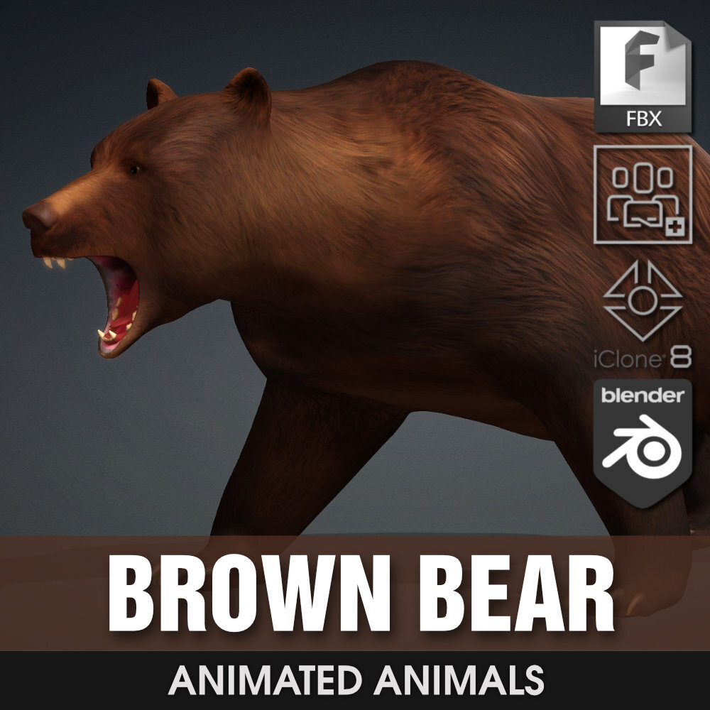 Brown Bear 3D model - Download Mammals on 3DModels.org