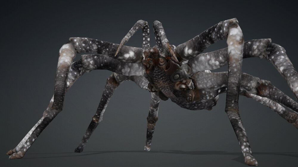 Spider V2 3D model - Download Arthropod on 3DModels.org