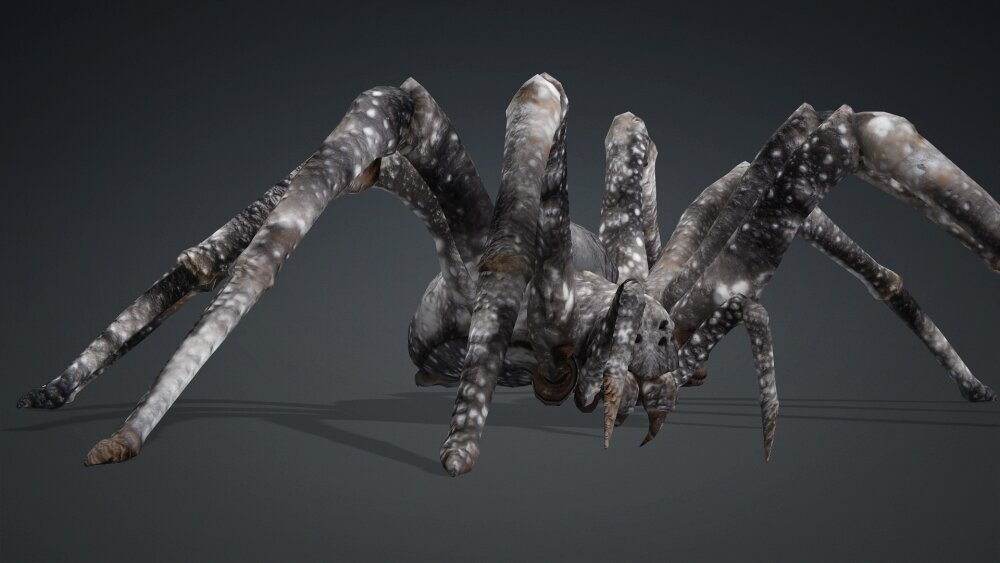 Spider V2 3D model - Download Arthropod on 3DModels.org