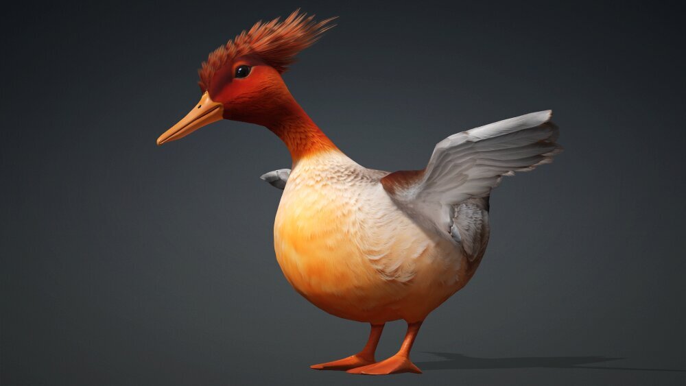 Duck B4 3D model - Download Birds on 3DModels.org