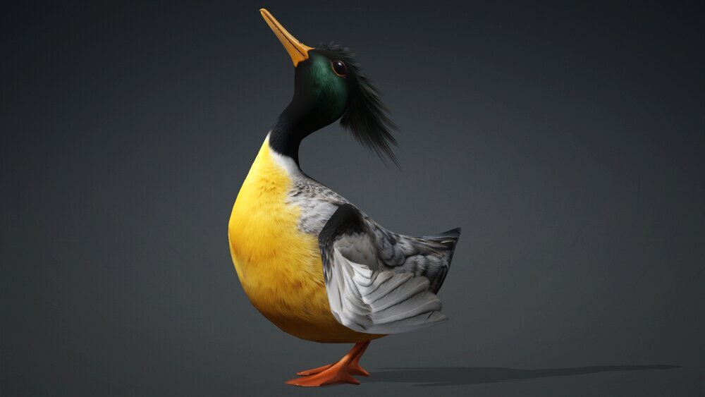 Duck B1 3D model - Download Birds on 3DModels.org