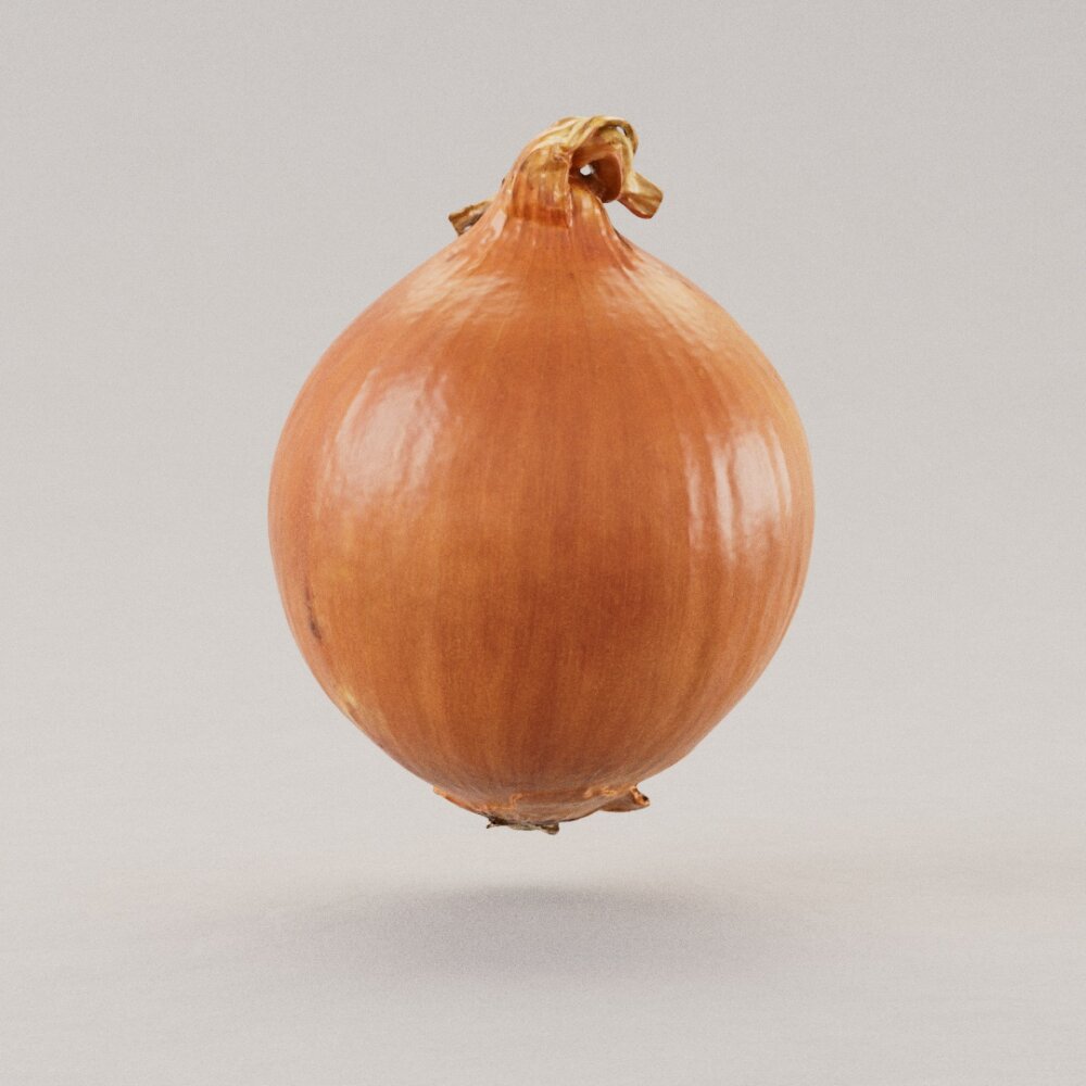 Yellow Onion Photoscan 3D model - Download Vegetables on 3DModels.org