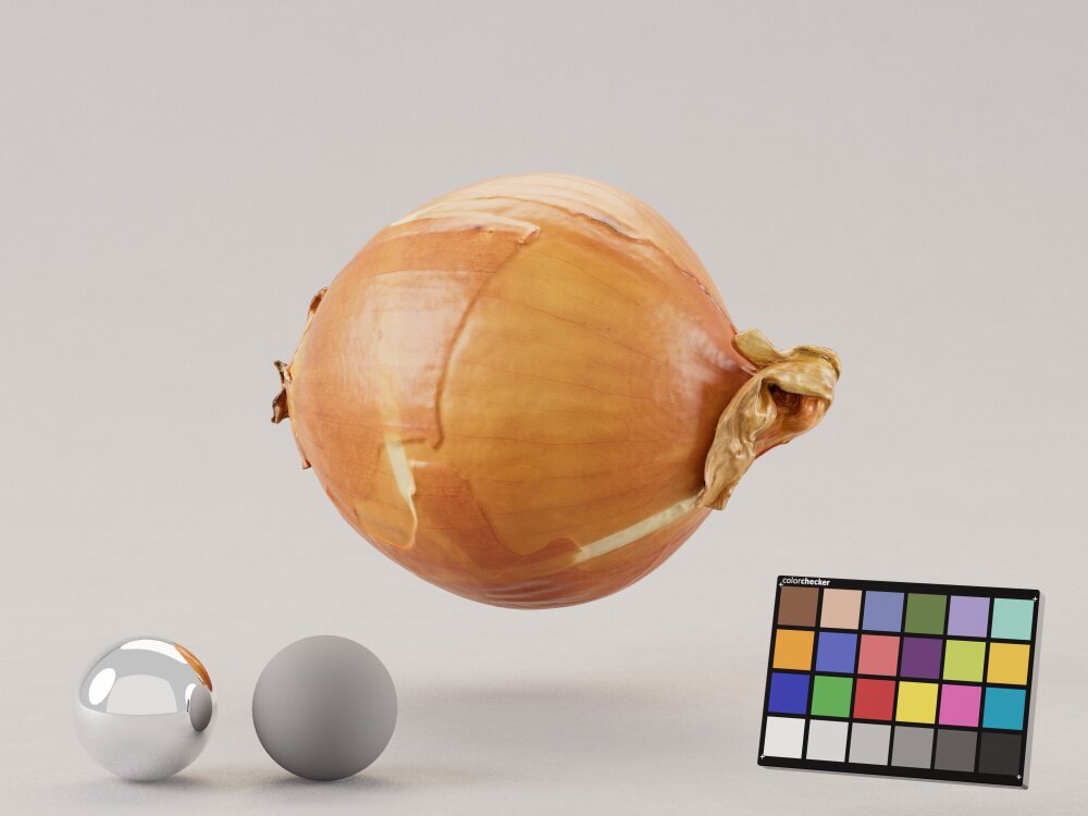 Yellow Onion Photoscan 3D model - Download Vegetables on 3DModels.org