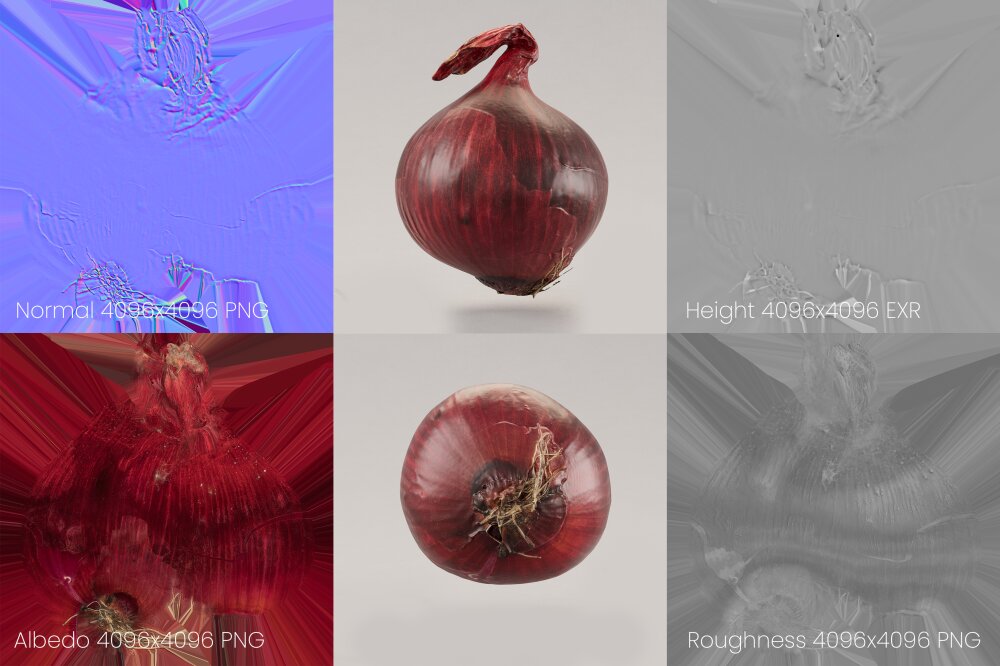 Red Onion 3D model - Download Vegetables on 3DModels.org