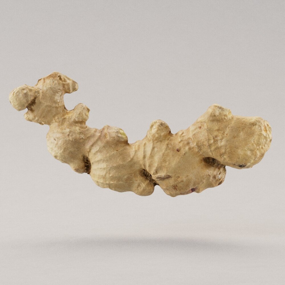 Ginger Photoscan 3D model - Download Vegetables on 3DModels.org