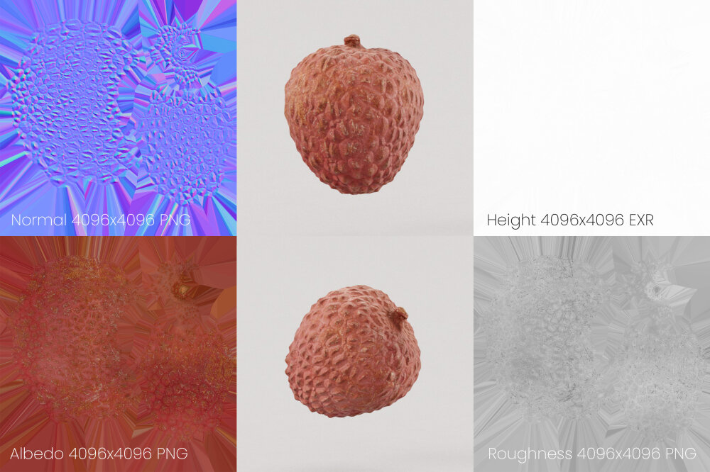 Lychee Photoscan 3D model - Download Fruit on 3DModels.org
