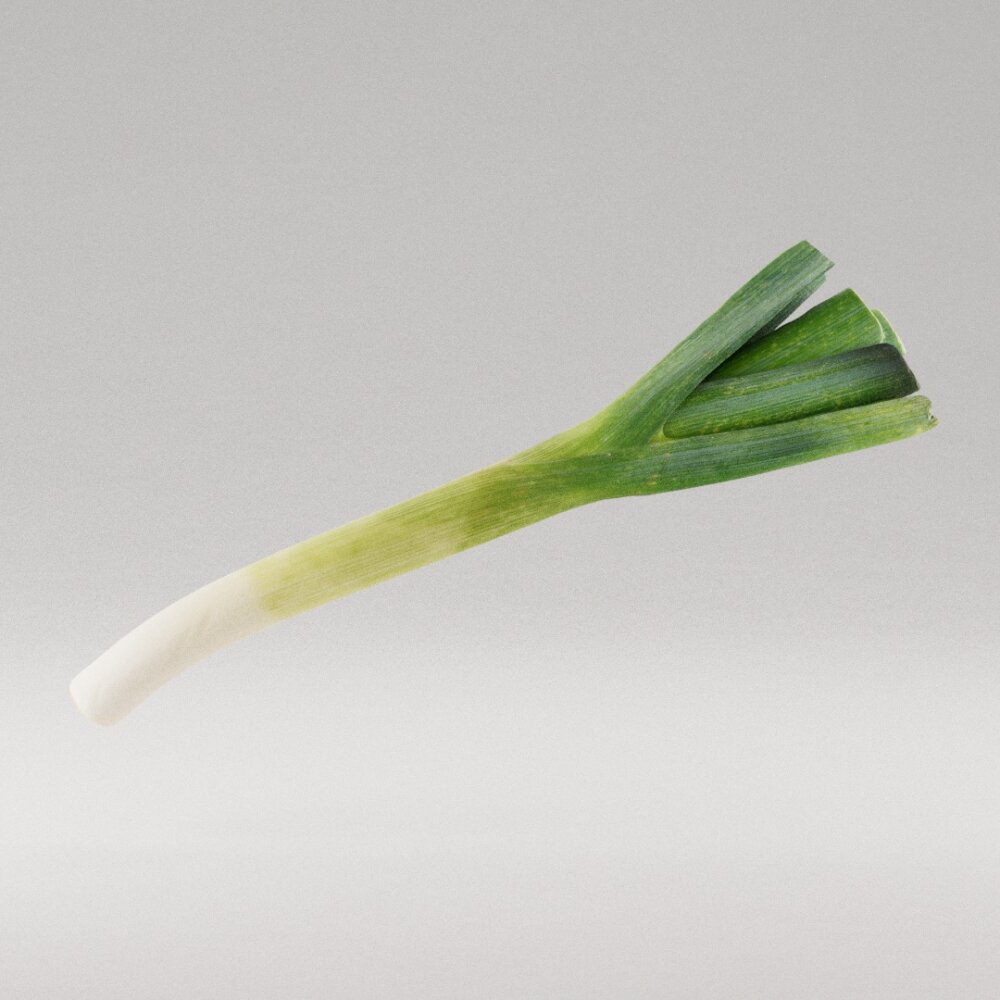 Leek 3D model - Download Vegetables on 3DModels.org
