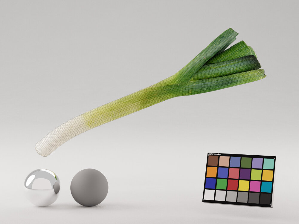 Leek 3D model - Download Vegetables on 3DModels.org