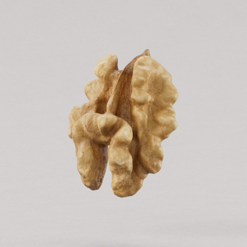 Walnut Inside 3D model - Download Nuts on 3DModels.org