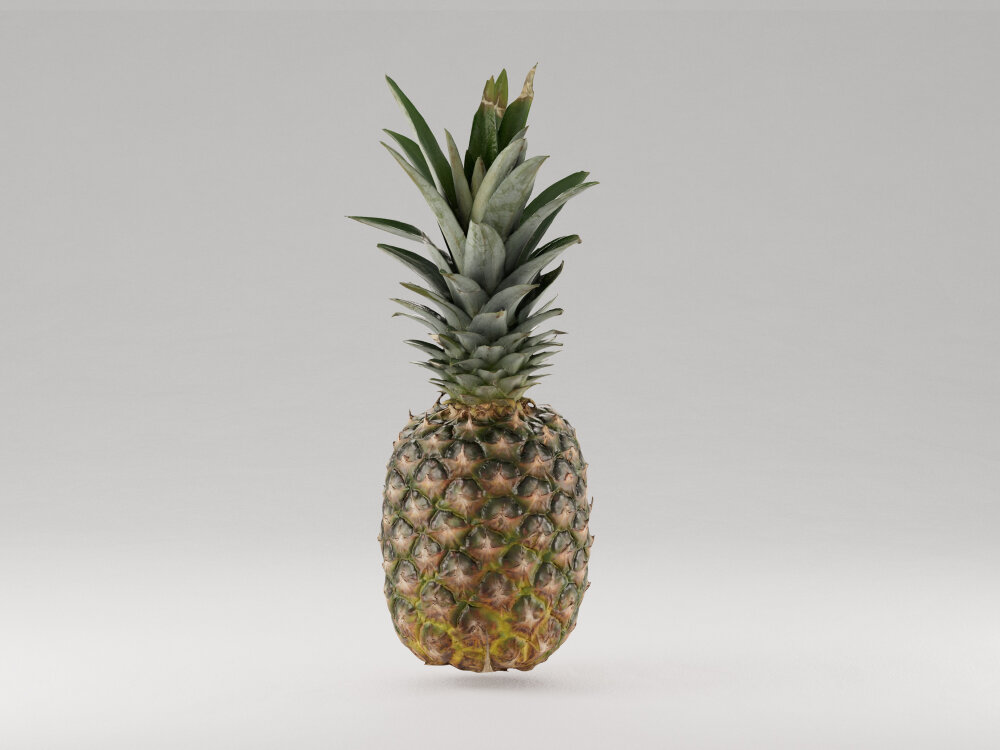 Pineapple Fruit 3D model - Download Fruit on 3DModels.org