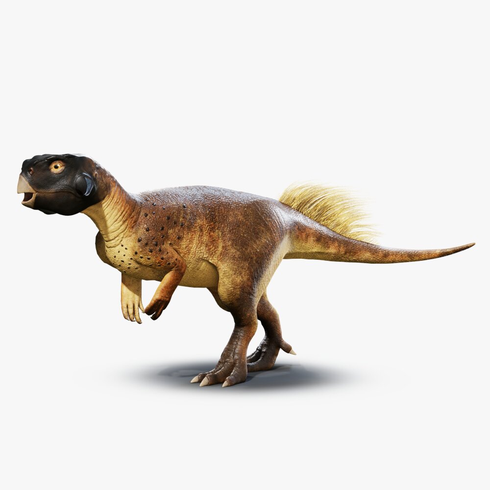 Psittacosaurus 3D model - Download Dinosaur on 3DModels.org