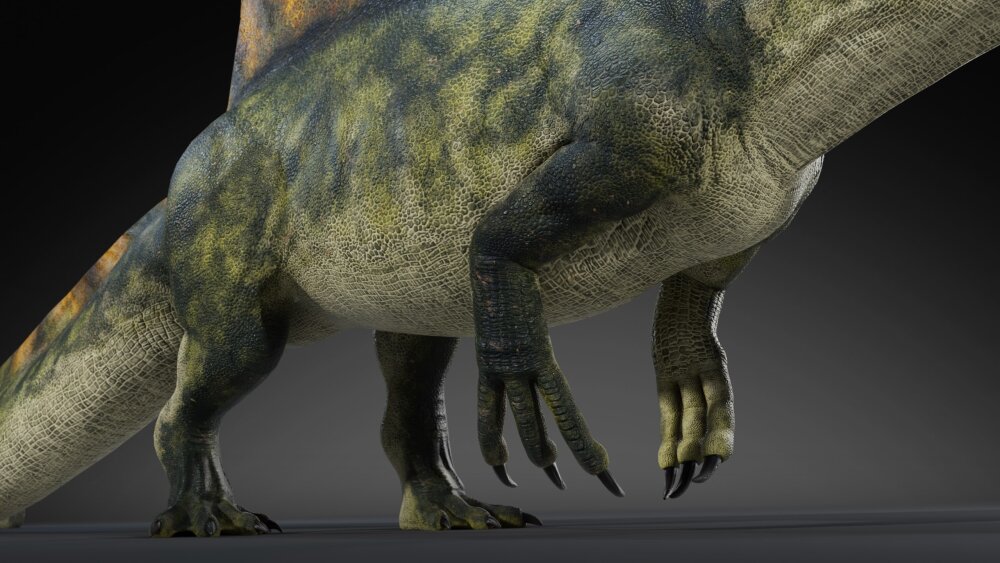 Majestic Spinosaurus 3D model - Download Dinosaur on 3DModels.org